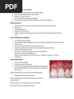 Técnica de Bass Modificada | PDF | Diente | Odontología