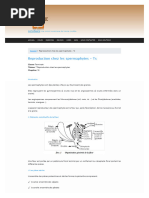 Le Carpelle : Organe des Angiospermes | PDF | Fruit | Embryon