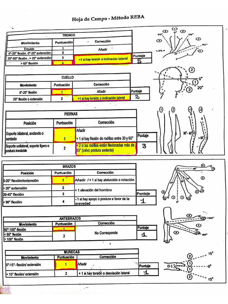 Imagen Metodo Reba | PDF