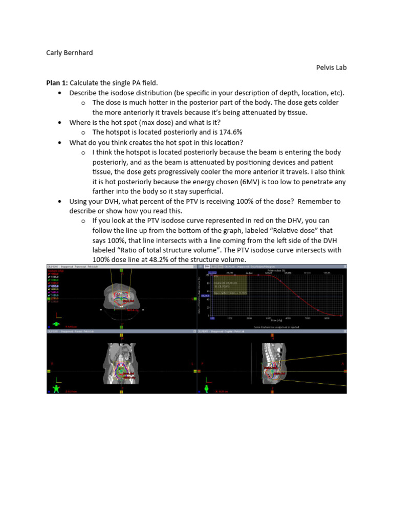 Pelvis Lab 2 Pdf