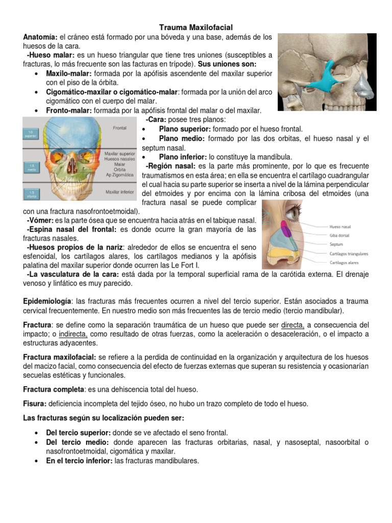 Trauma Maxilofacial Clase | Descargar gratis PDF | Anatomía humana | Anatomía