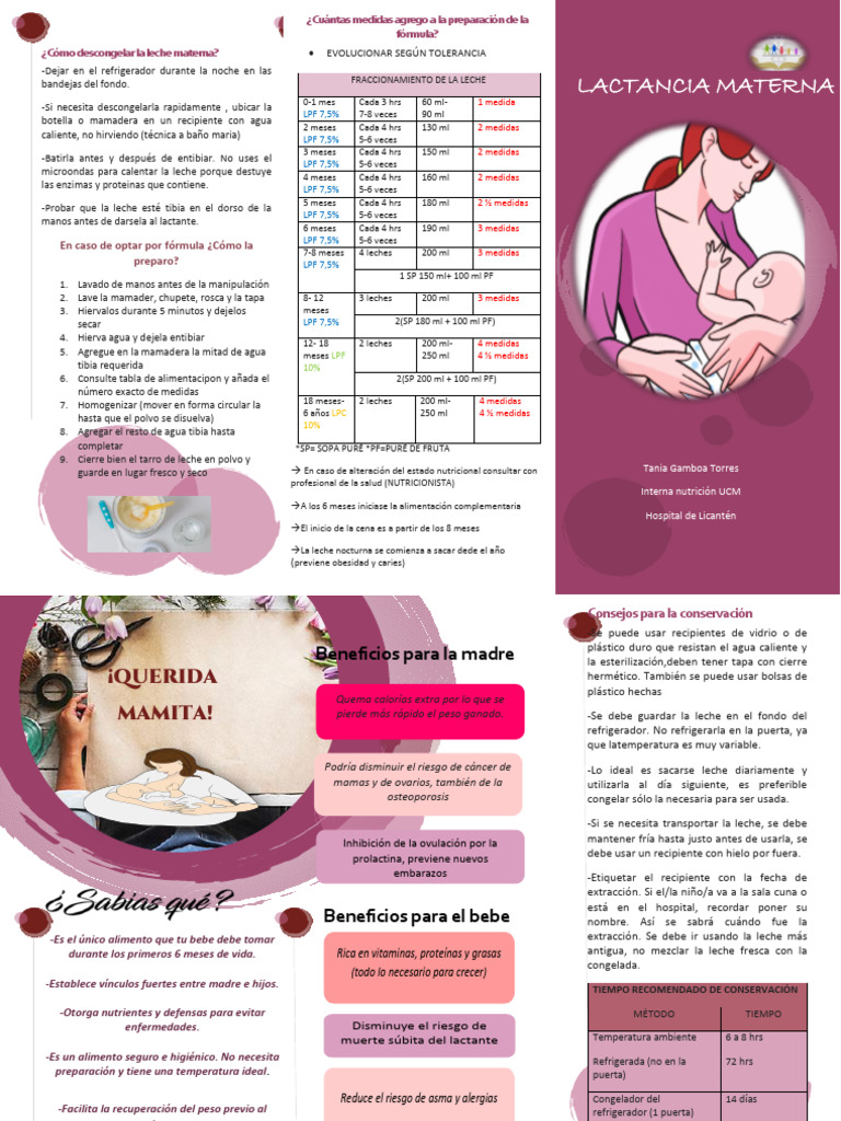 Lactancia Materna Pdf Leche Alimentos
