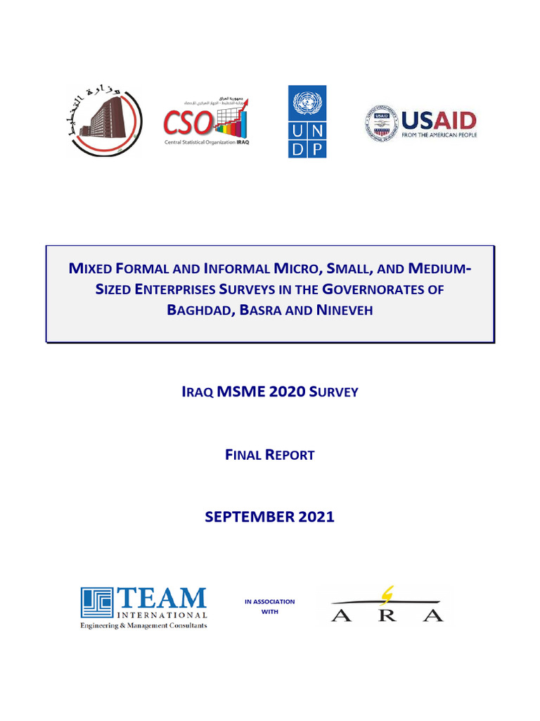 Iraq MSME Survey 2020 Report | PDF | Small And Medium Sized Enterprises ...