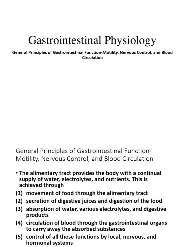 8-GI 1 | PDF | Gastrointestinal Tract | Muscle