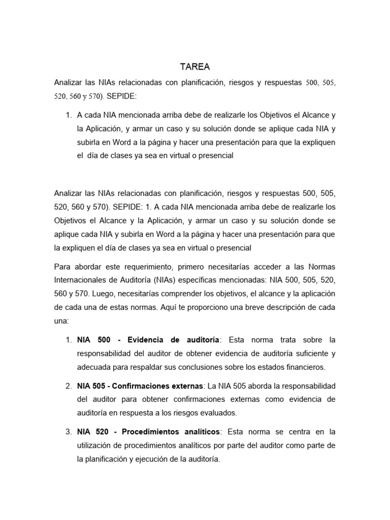 Tarea | PDF | Auditoría | Business