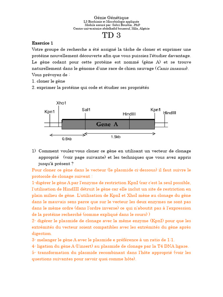 Solution-TD3 Génie Génétique | PDF | Plasmide | Clonage