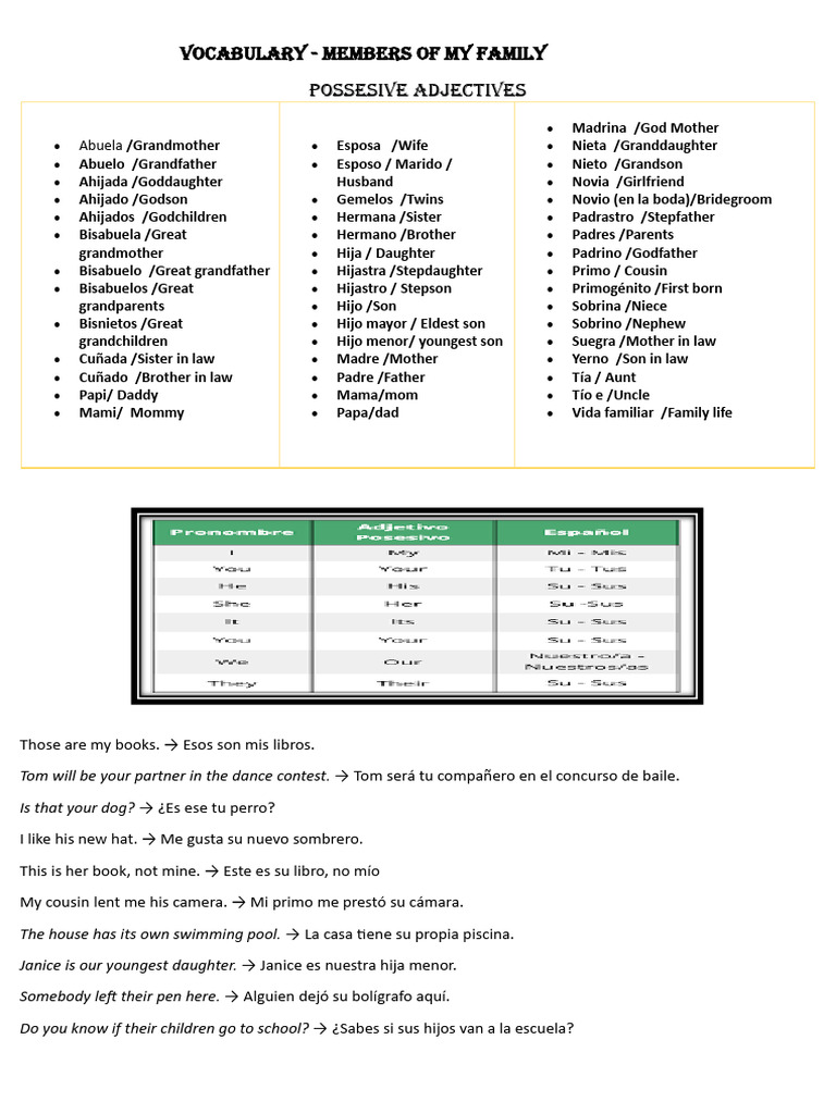 Vocabulario Miembros de La Familia y Adjetivos Posesivos | PDF
