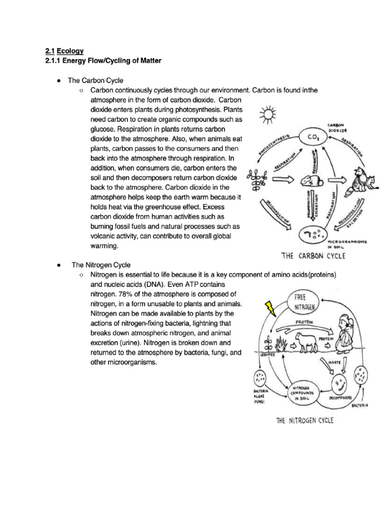 Biology Chapter 2 Study Guide | PDF