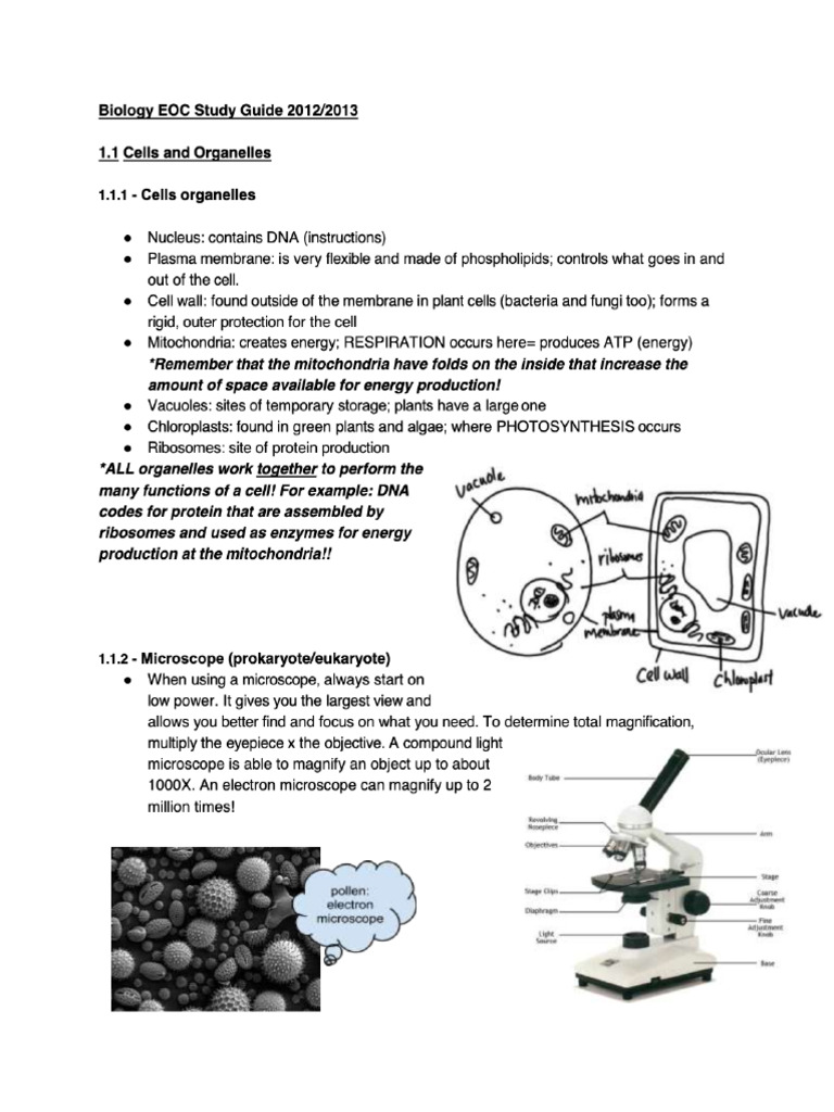 Biology Chapter 1 Study Guide | PDF