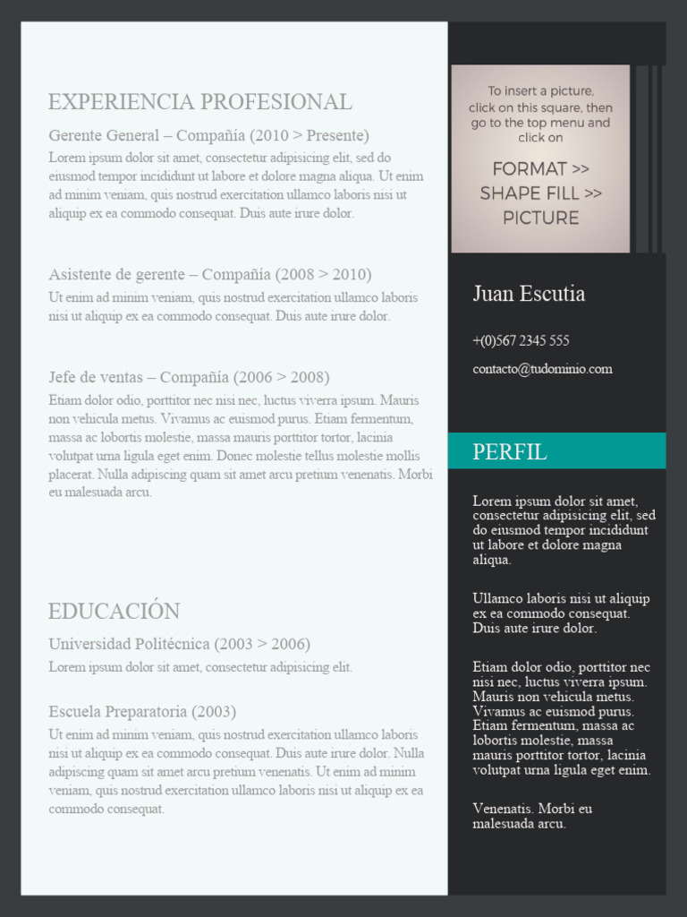 Currículum Creativo y Profesional | PDF