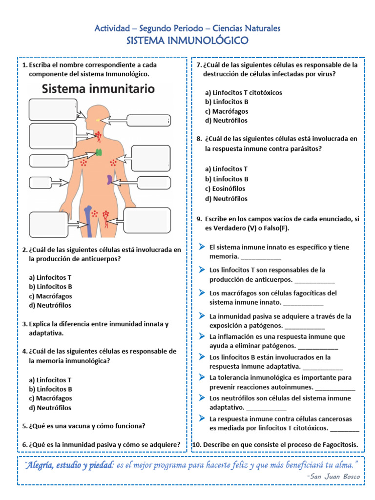 Actividad - Sistema Inmunológico | Descargar gratis PDF | Sistema inmune | Linfocitos