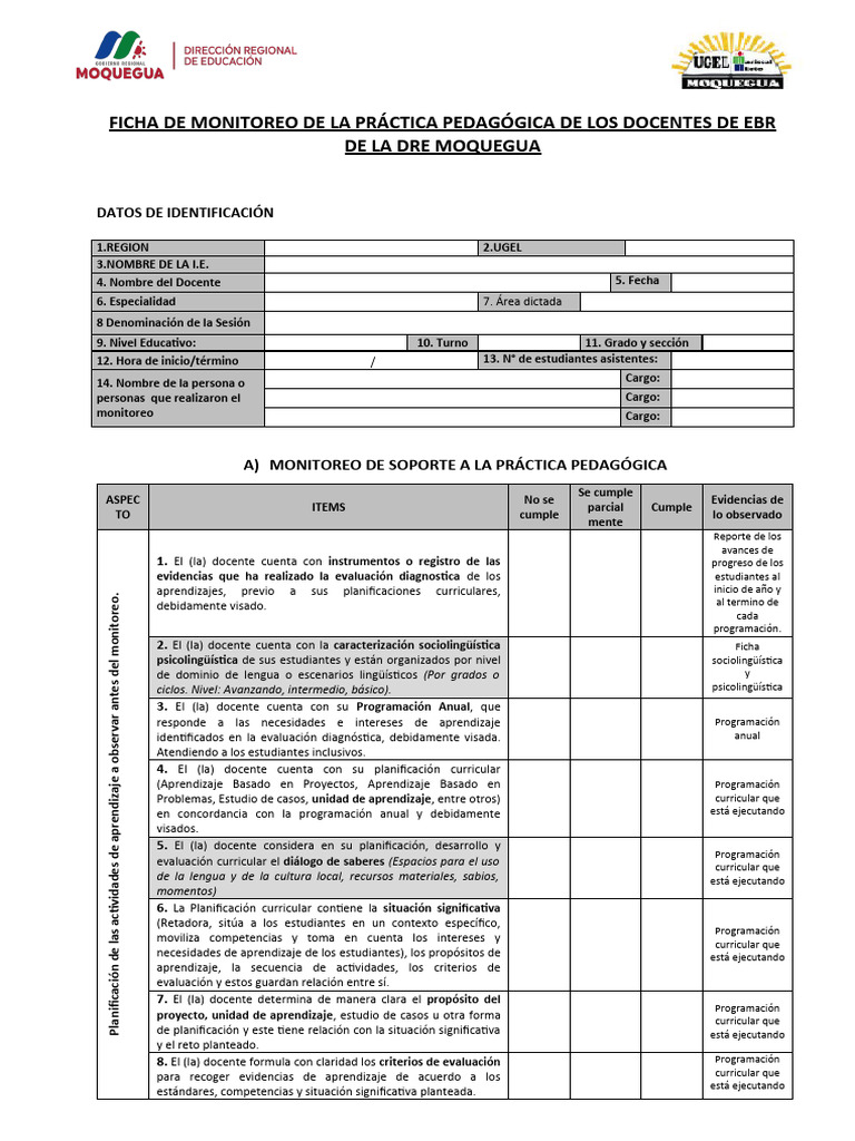FICHA DE MONITOREO 2024 | PDF | Evaluación | Aprendizaje