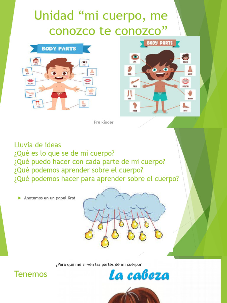 Unidad mi cuerpo | PDF