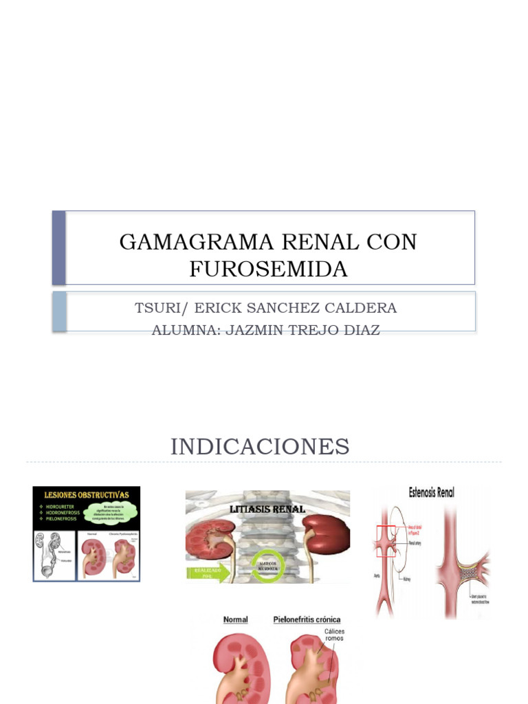 GAMAGRAMA RENAL CON FUROSEMIDA | PDF