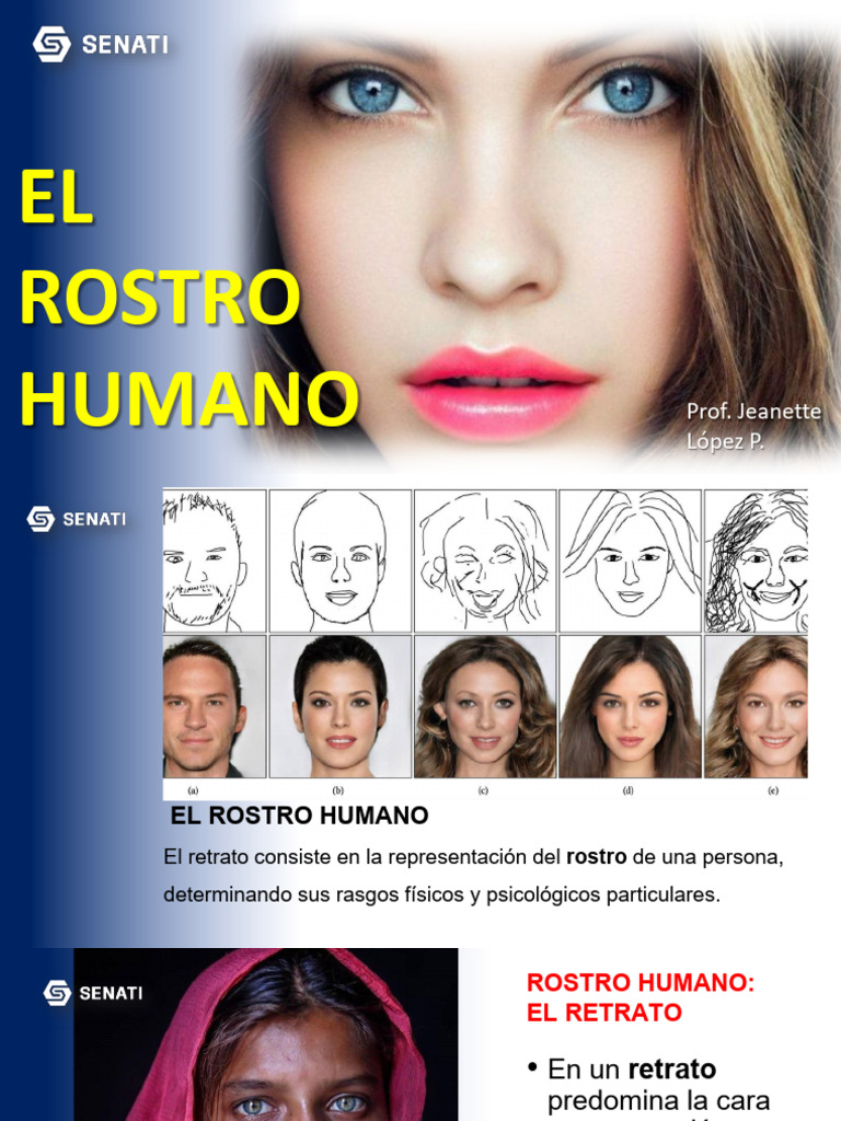 Partes de Rostro Humano | PDF | Retrato | Cara