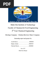 Dashen Beer | PDF | Brewing | Beer