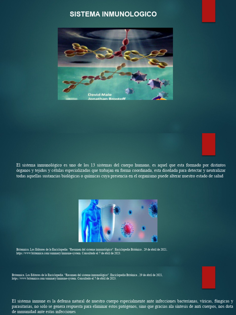 Inmuno | PDF | Sistema inmune | Linfocitos