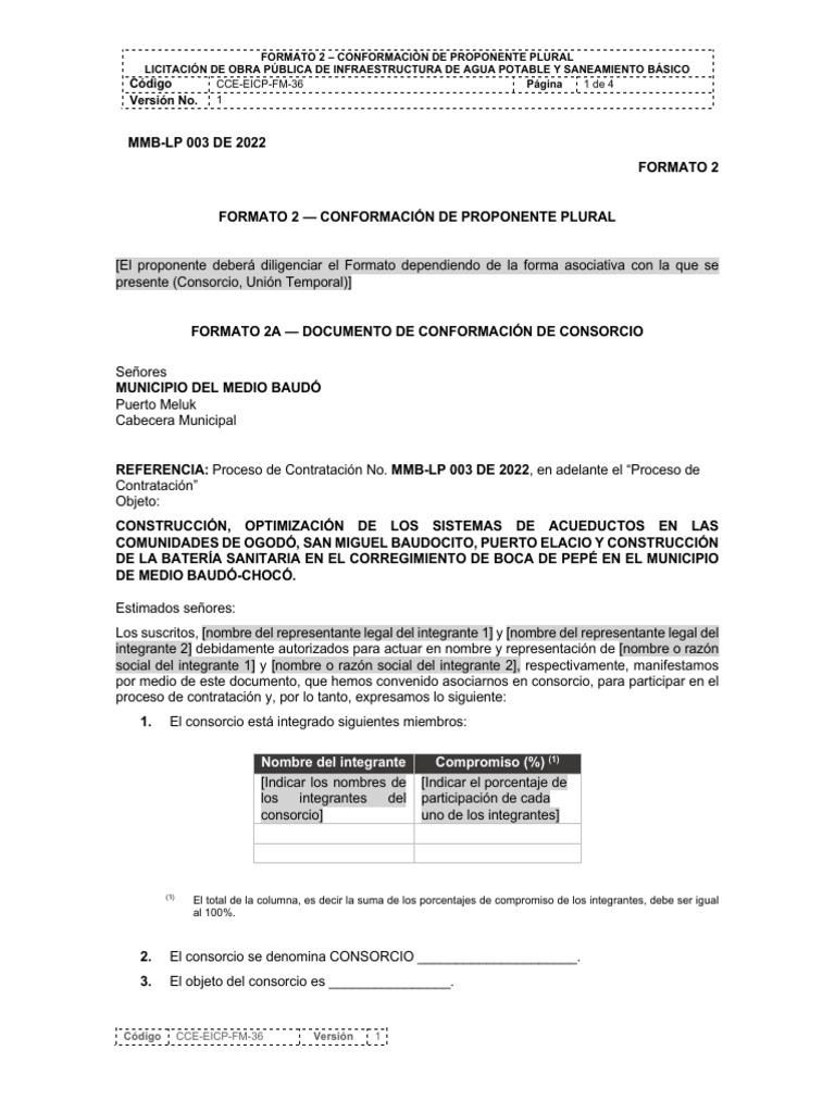 Formato 2 - Conformación de Proponente Plural | PDF
