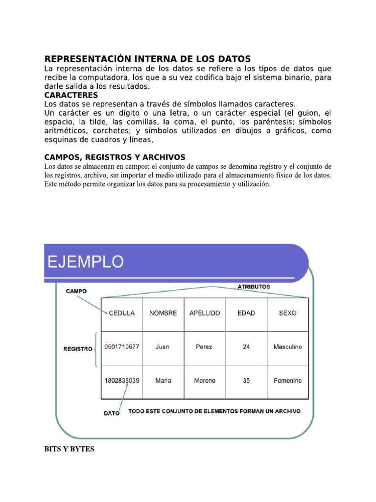 Representación interna de los datos | PDF