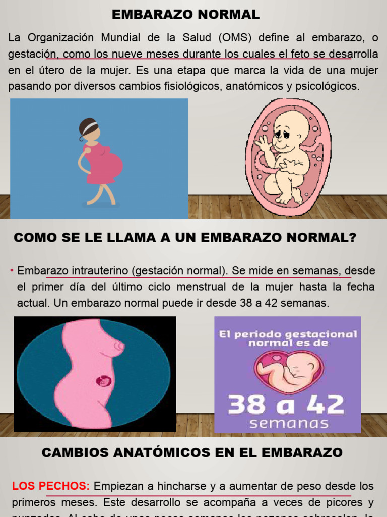 Embarazo Normal (1) | PDF | El embarazo | Estómago