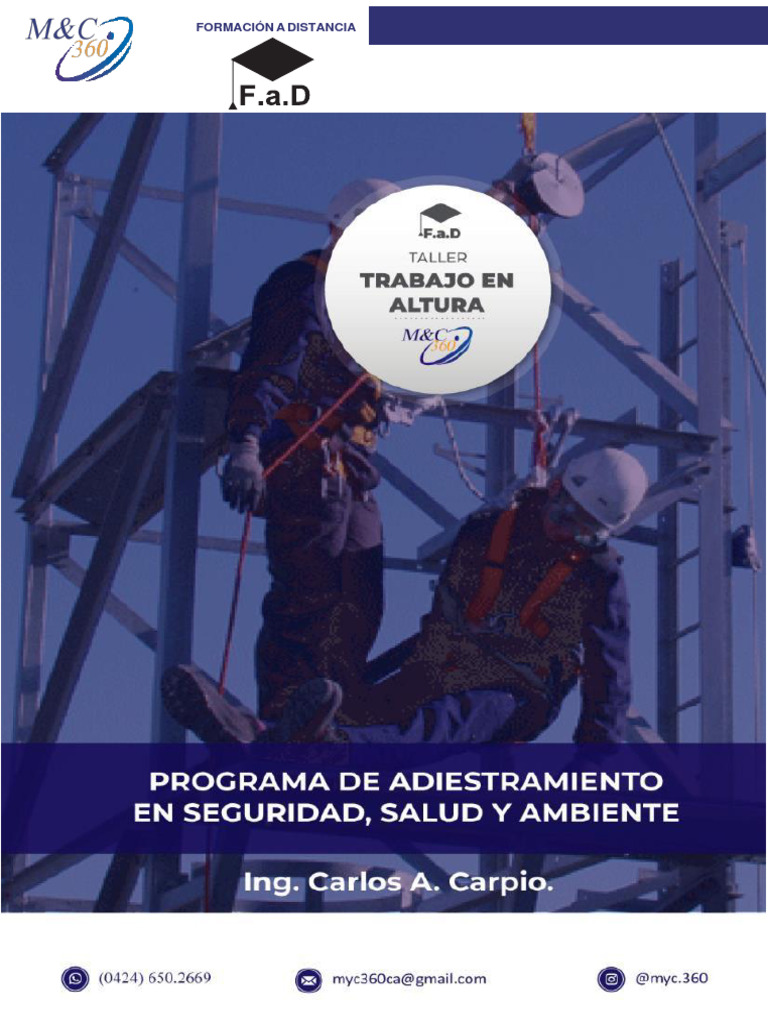 Manual Trabajo en Altura | Descargar gratis PDF | Escalera | Cinturón de seguridad