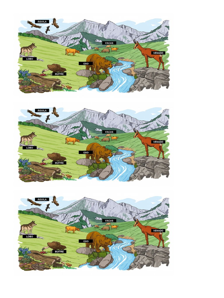 Dibujo de Biotico y Abioticos | PDF