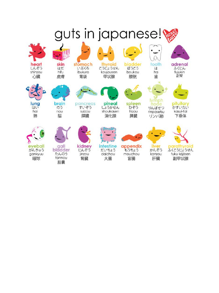 Japanese Organs | PDF