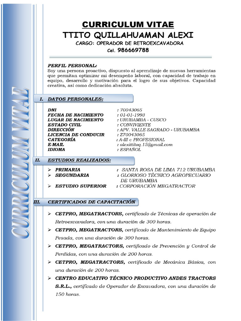 Curriculum Vitae Alexi Tito | PDF