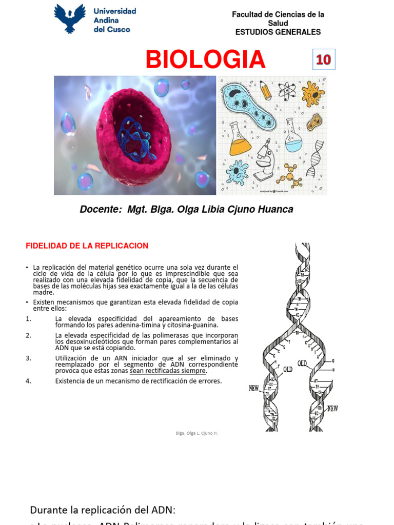 Biología EG X - Mutaciones Epigenetica (1) - 230617 - 074502 | PDF ...