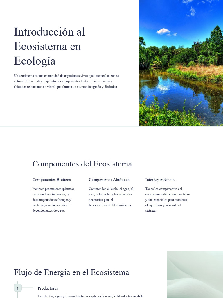 Introduccion Al Ecosistema en Ecologia | PDF | Ecosistema | Ecología
