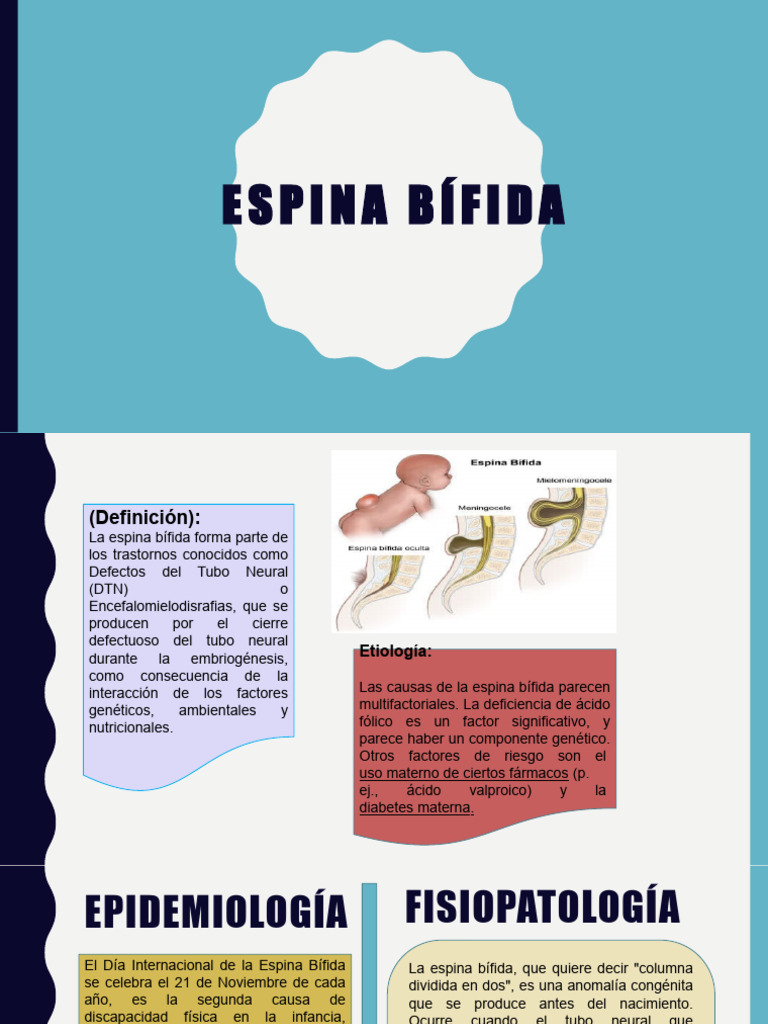 EXPO - Espina Bífida | PDF | Enfermedades y trastornos humanos ...