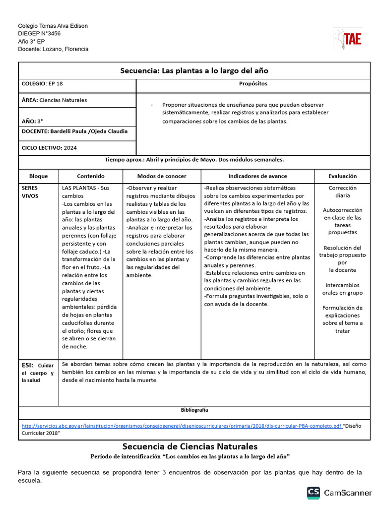 Secuencia Los Cambios en Las Plantas 3 | PDF | Plantas | Arboles