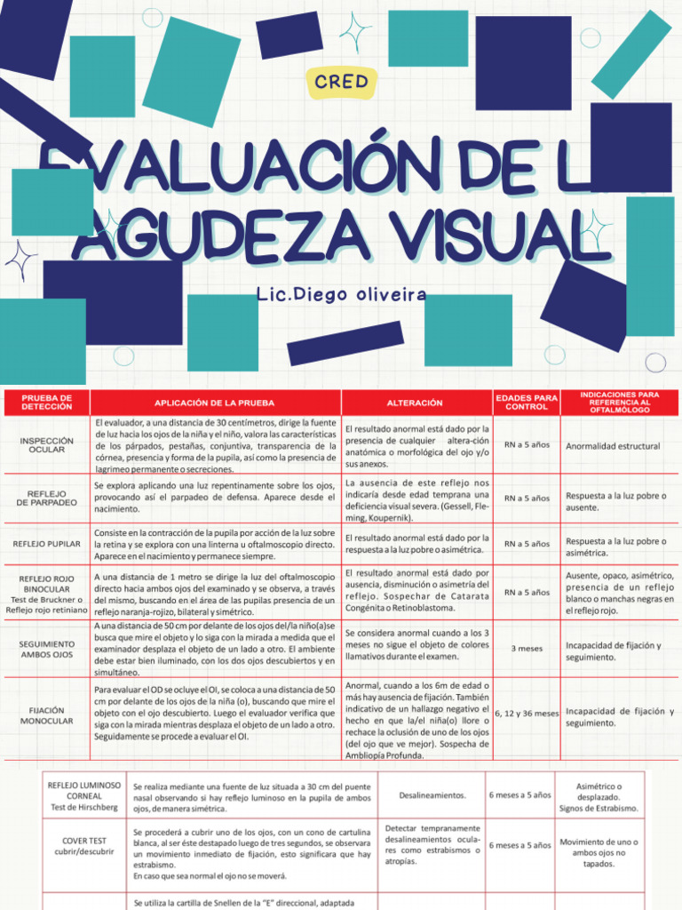 Evaluación de La Agudeza Visual | PDF