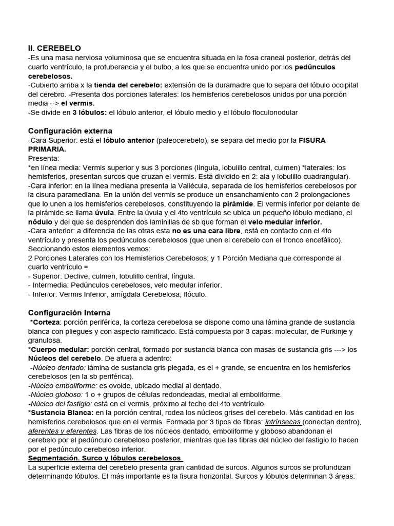 Anato SNC | PDF | Cerebelo | Cerebro