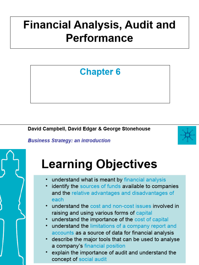 Financial Analysis Audit and Performance | PDF | Cost Of Capital ...