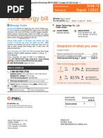 Sample PSEG Bill | PDF