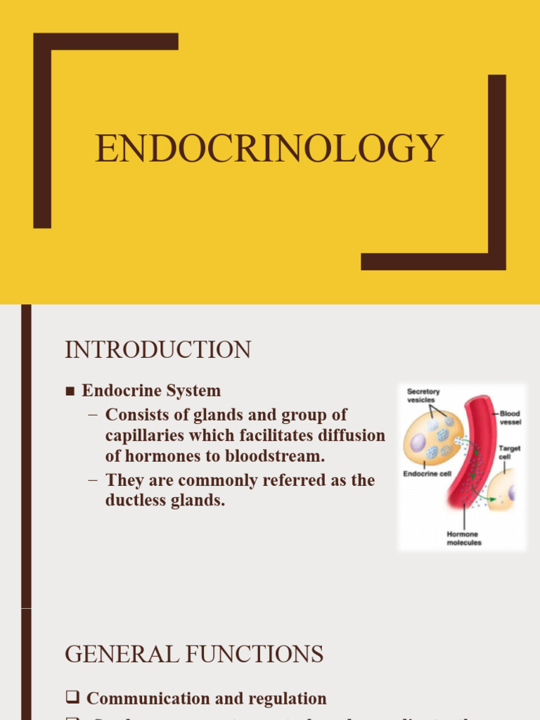 Endocrinology | PDF | Endocrine System | Hormone