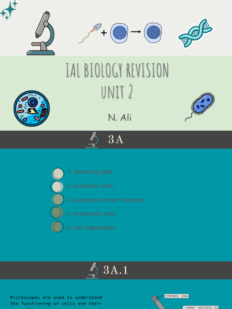 Unit 2 Revision p1 | Download Free PDF | Meiosis | Chromosome