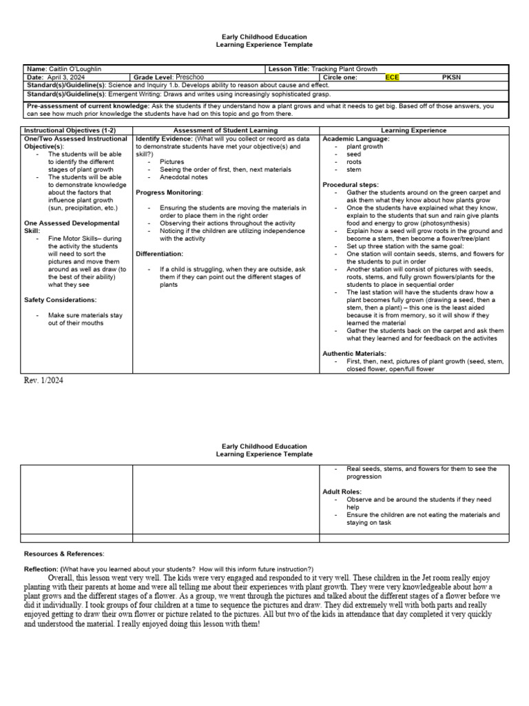 Ece Lesson Plan Template 4 | PDF | Knowledge | Early Childhood Education