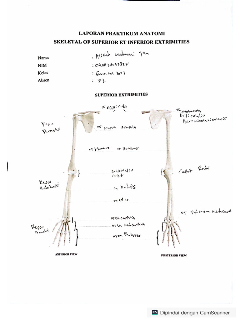 medical terminology | PDF