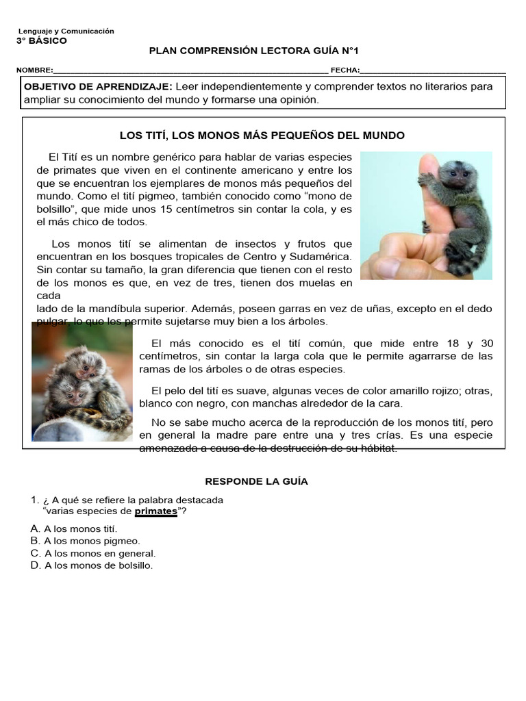 Características del Mono Tití | PDF | Mono
