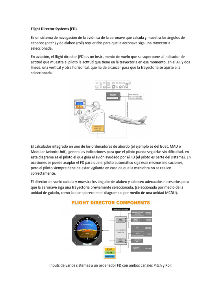 Flight Director Systems | PDF | Navegación | Aeroespacial