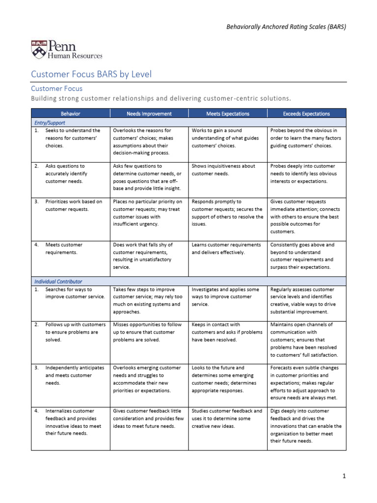 Customer Focus Core Competency BARSby Level | PDF | Business Process ...