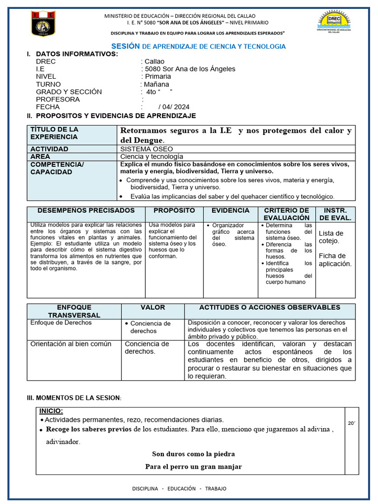 Sesion Sistema Oseo Descargar Gratis Pdf Hueso Mano