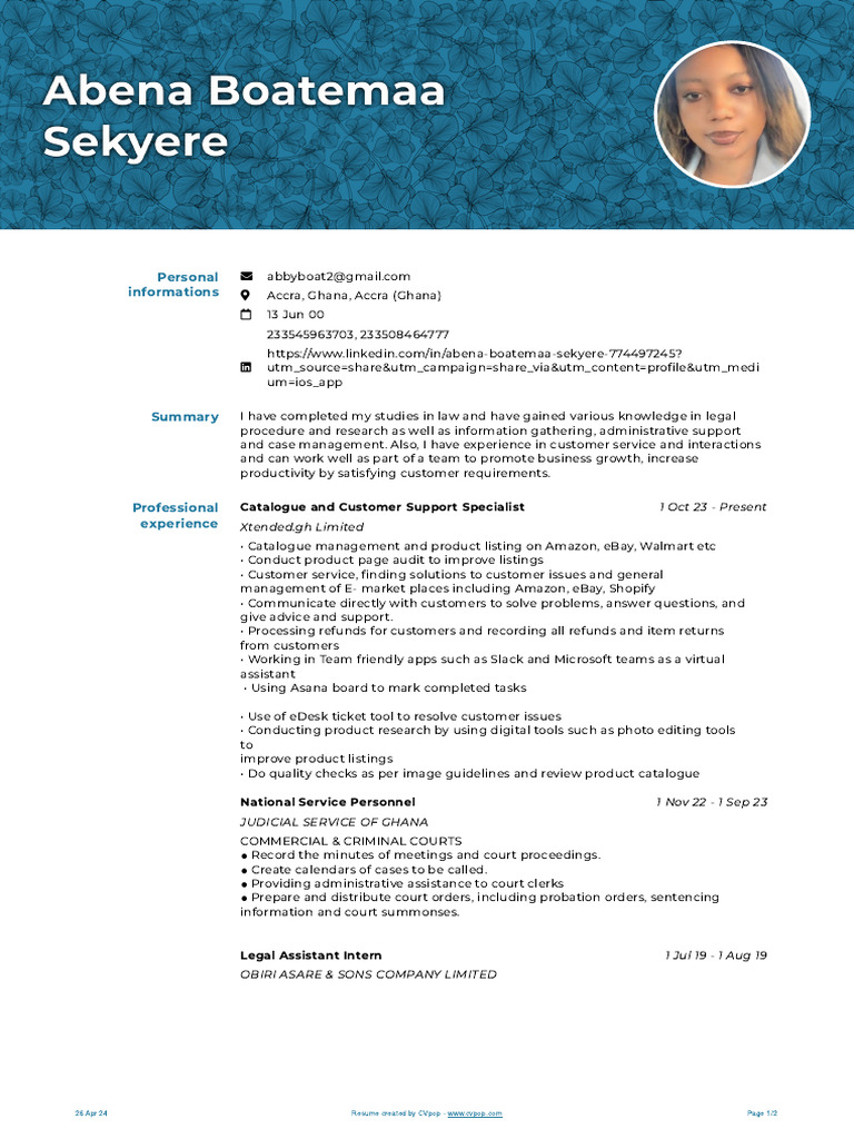 Abena CV Professional | PDF