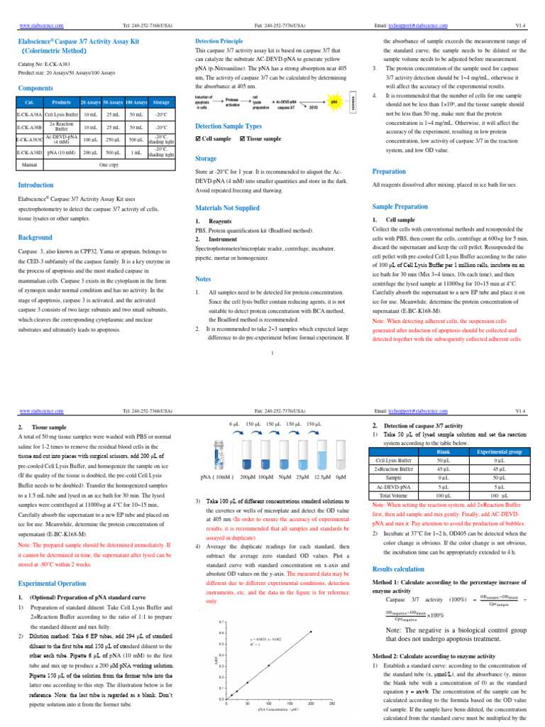 Caspase 3 - 7 Kit Assay | Download Free PDF | Caspase | Apoptosis