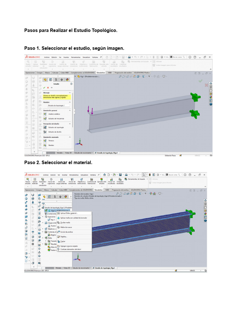 Pasos para Realizar el Estudio Topológico | PDF