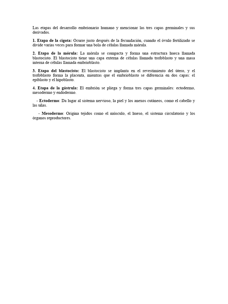 Las Etapas Del Desarrollo Embrionario Humano y Mencionar Las Tres Capas ...