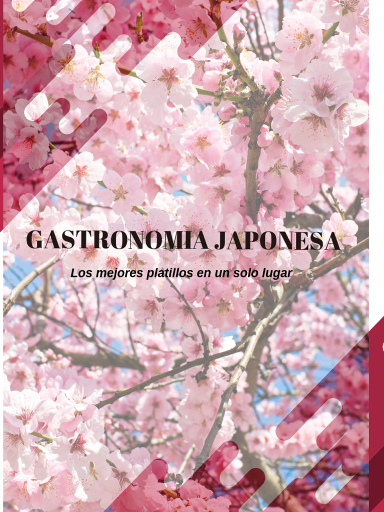 Documento A4 Catálogo de Productos Sencillo Magenta | PDF | Ramen | Cocina japonesa