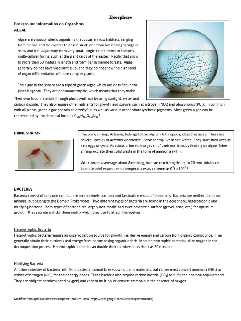 Ecosphere | PDF | Salinity | Carbon Dioxide